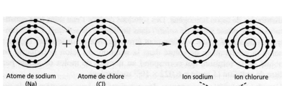 La chimie cellulaire – Santé tube