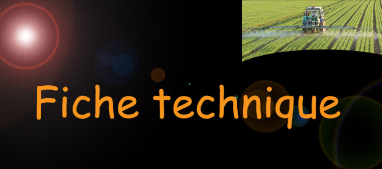 fiche technique du blé dure – Santé tube